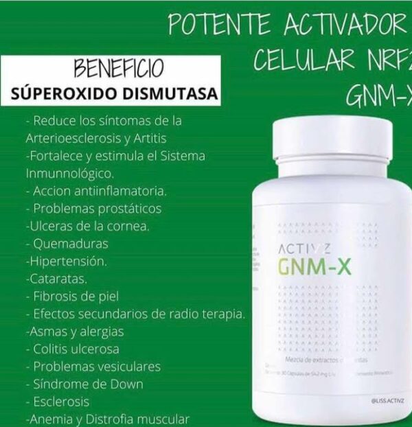 GNM-X ACTIVZ - ALTA SALUD Y VIDA